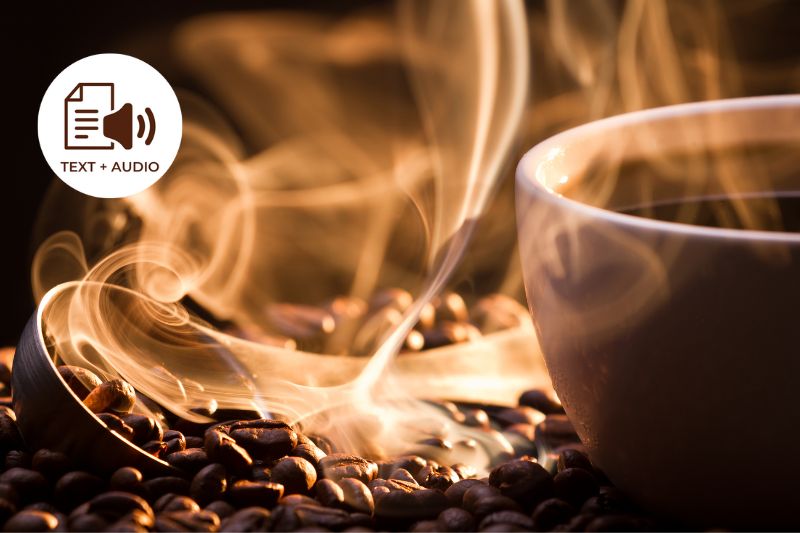 Coffee Aromas: Why Do They Matter? – Japanese Coffee Co.