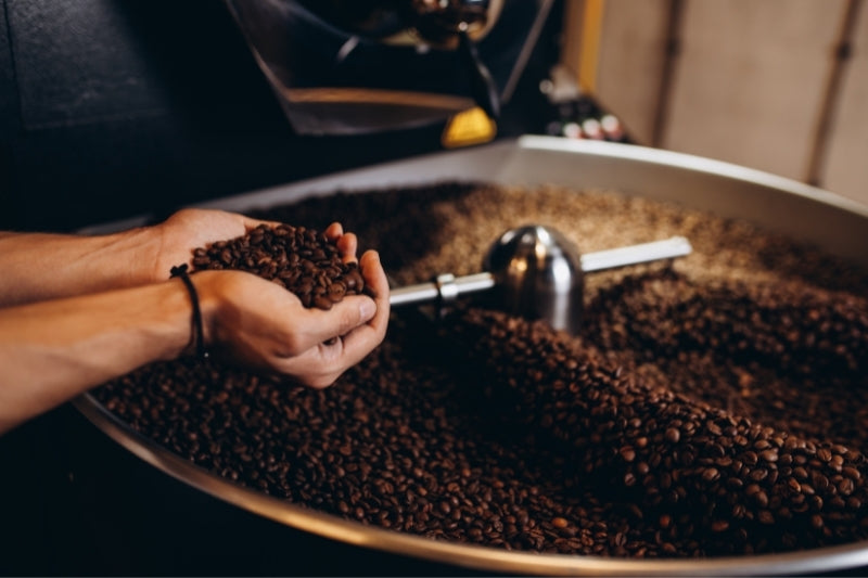 Understand the characteristics of Premium Coffee Beans – Japanese ...