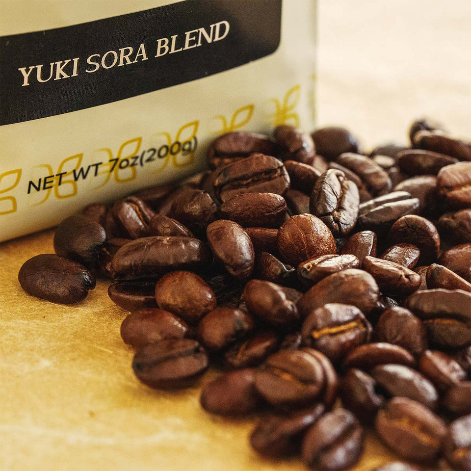 Top 10 Japanese Coffee Brands for Authentic Coffee Experience ...